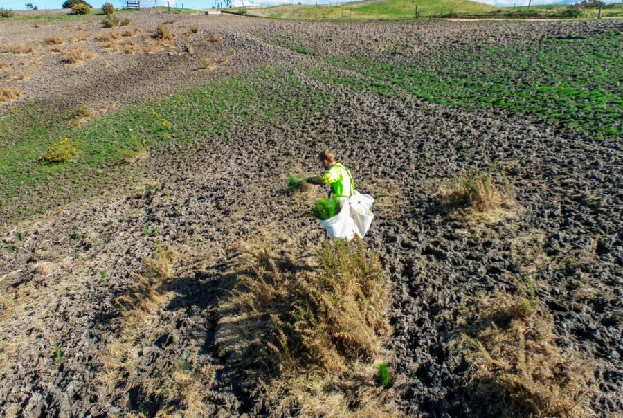 News - Laurie Forestry Ltd